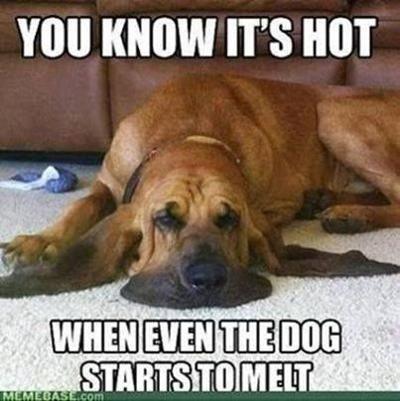 'It's a dry heat:' 25 memes that sum up Tucson summers