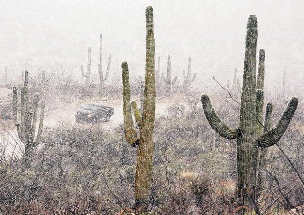 Hard freeze for Tucson tonight