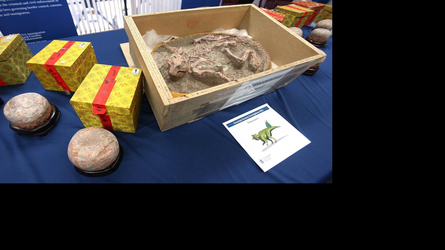 Dinosaur fossil smuggler at Tucson gem show convicted