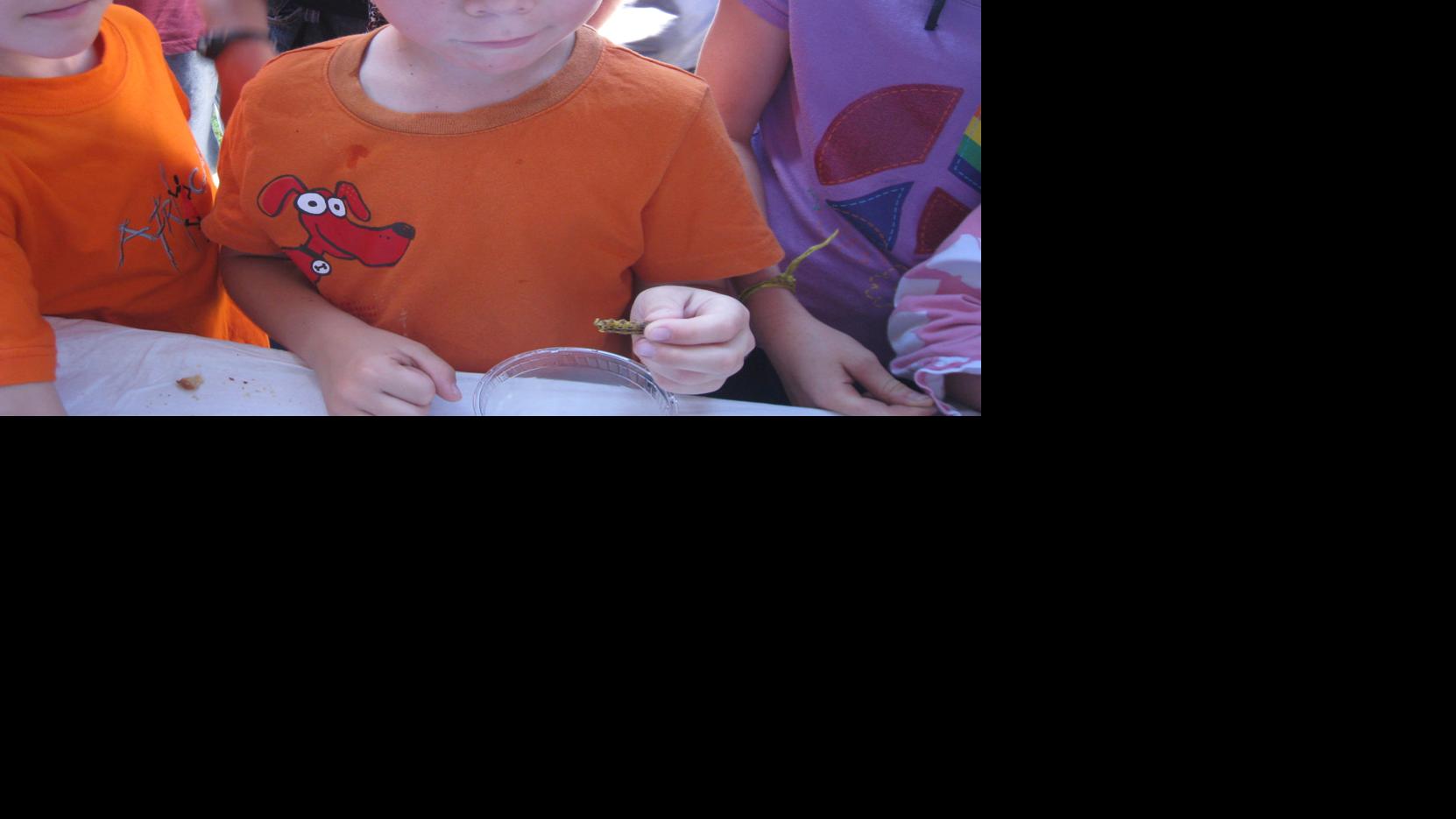 🐛 We can't wait to bug out at the Arizona Insect Festival this weekend ...