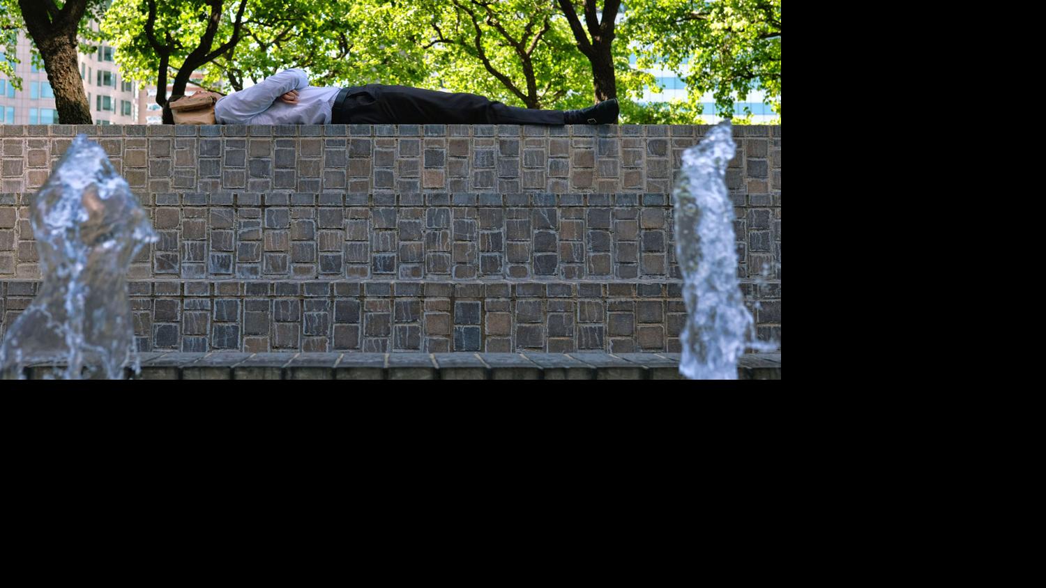 Dog swallows polar bear; nacho bandit; beach bones