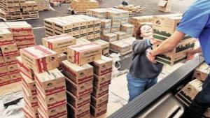 Thim Mints are here!