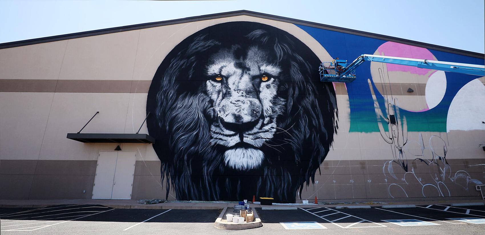 Photos: Tucson artist Joe Pagac works on his largest mural yet