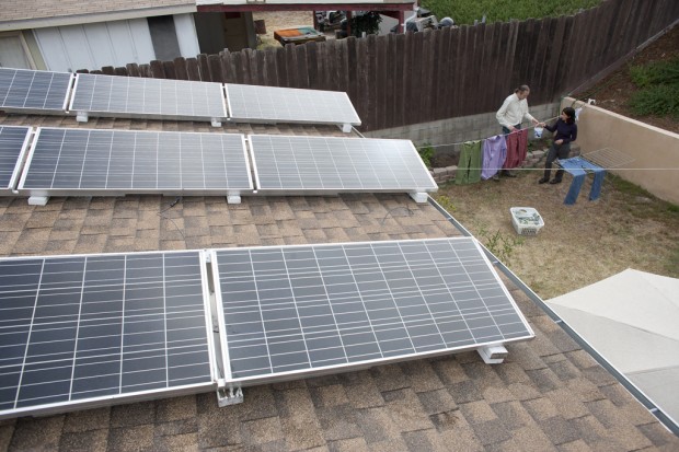 SAHBA show has gone to the dogs