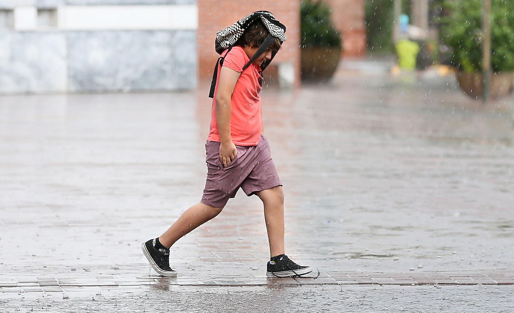 Map: See how much rain these Tucson spots have received this monsoon