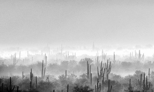 Rincon Valley contest takes their best shots