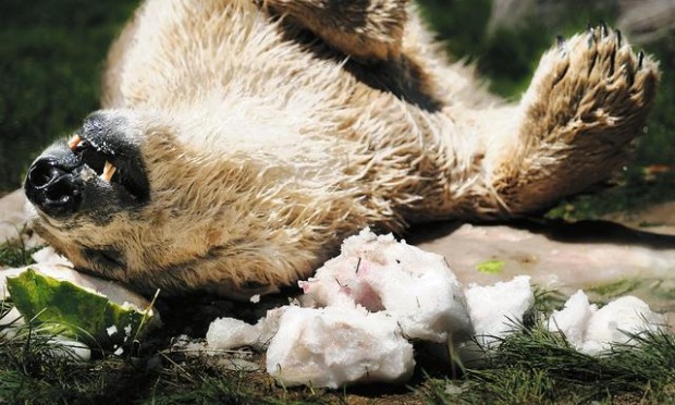 Making summer bearable