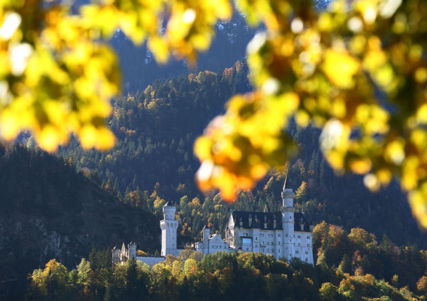 Photos: Fall colors around the world | Outdoors and Events | tucson.com