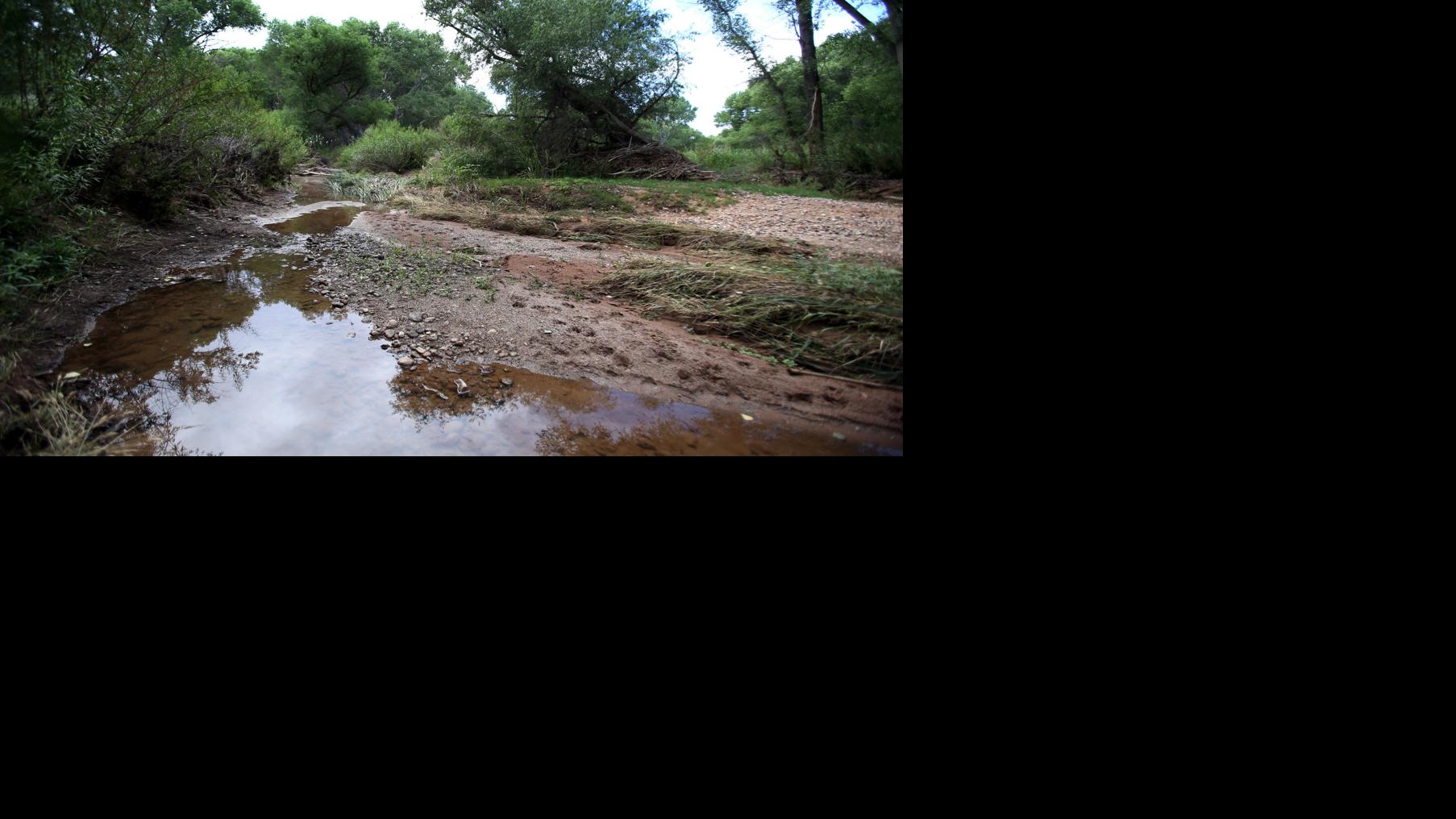 Matt Clark: Drought contingency plan fails to conserve Arizona’s ...