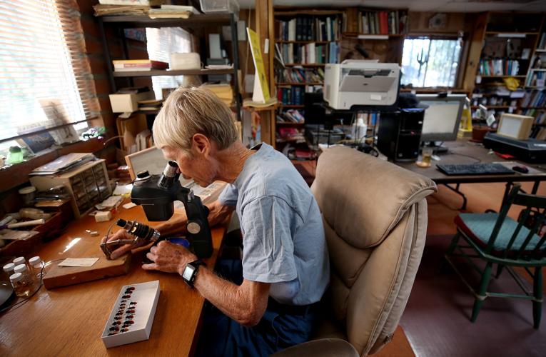 UA researcher Justin Schmidt is feeling the sting — of 83 different ...