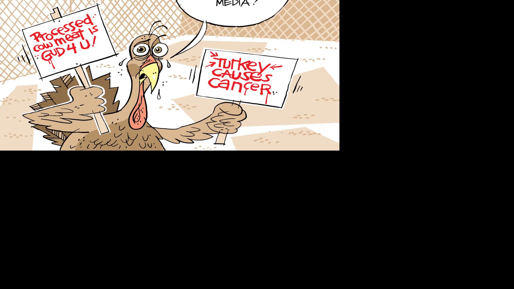 Through the years: David Fitzsimmons Thanksgivings comics