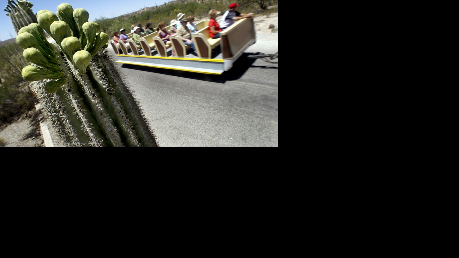 Autumn in Tucson: Sabino Canyon