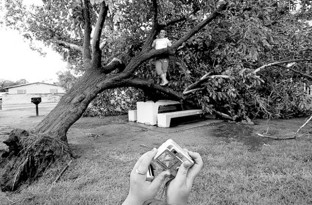 Tucson storm downs trees