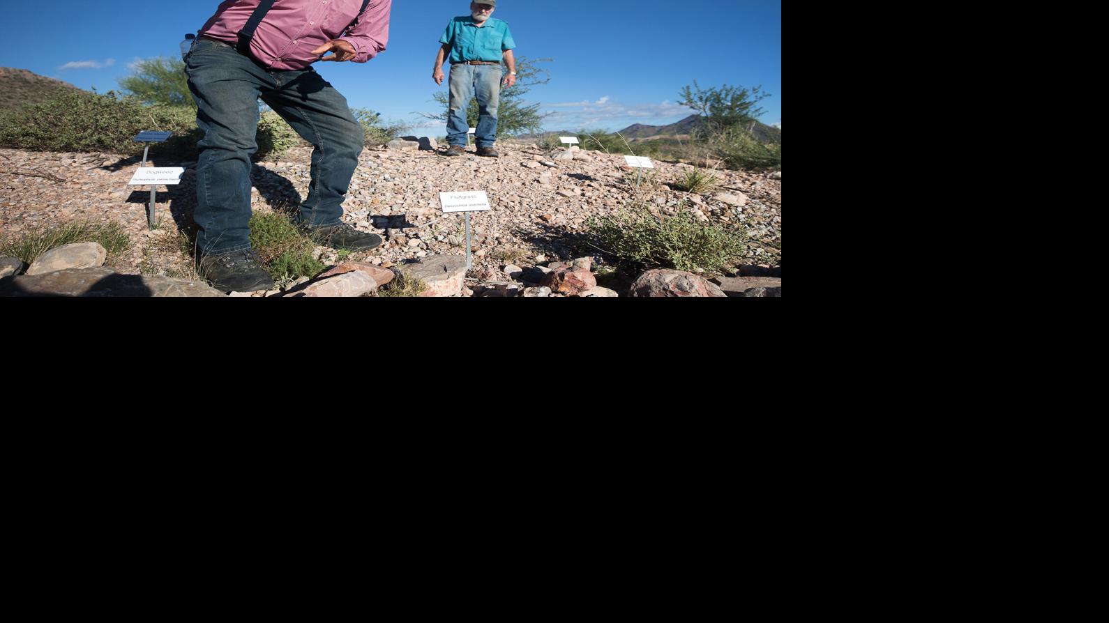 Buffelgrass battleground northwest of Tucson wins national recognition
