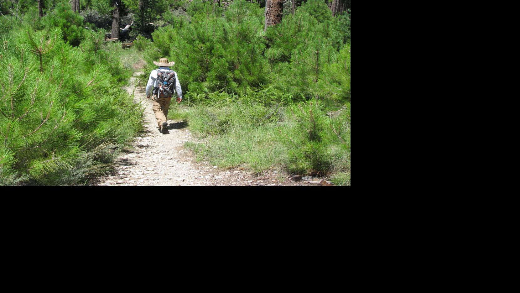 North of Tucson, bright hues break out on Box Camp Trail ...