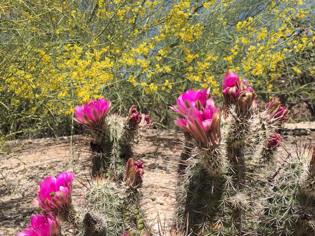 Strong winds bring a cooling-down period