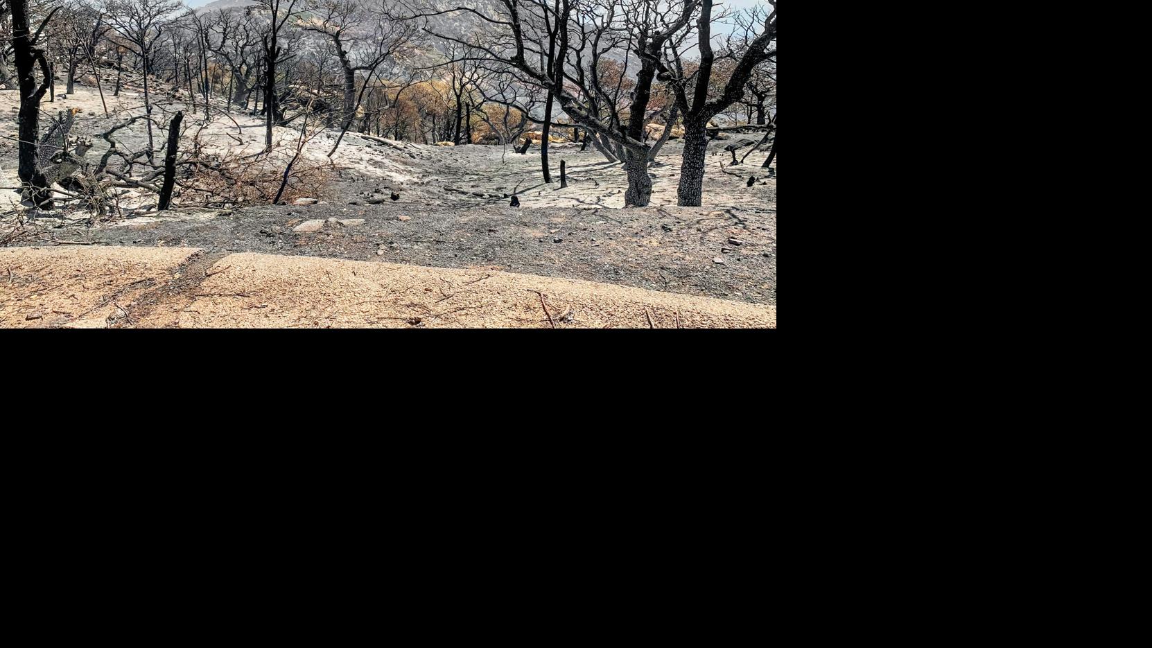 Wildfire SW of Tucson grows to 20,000 acres