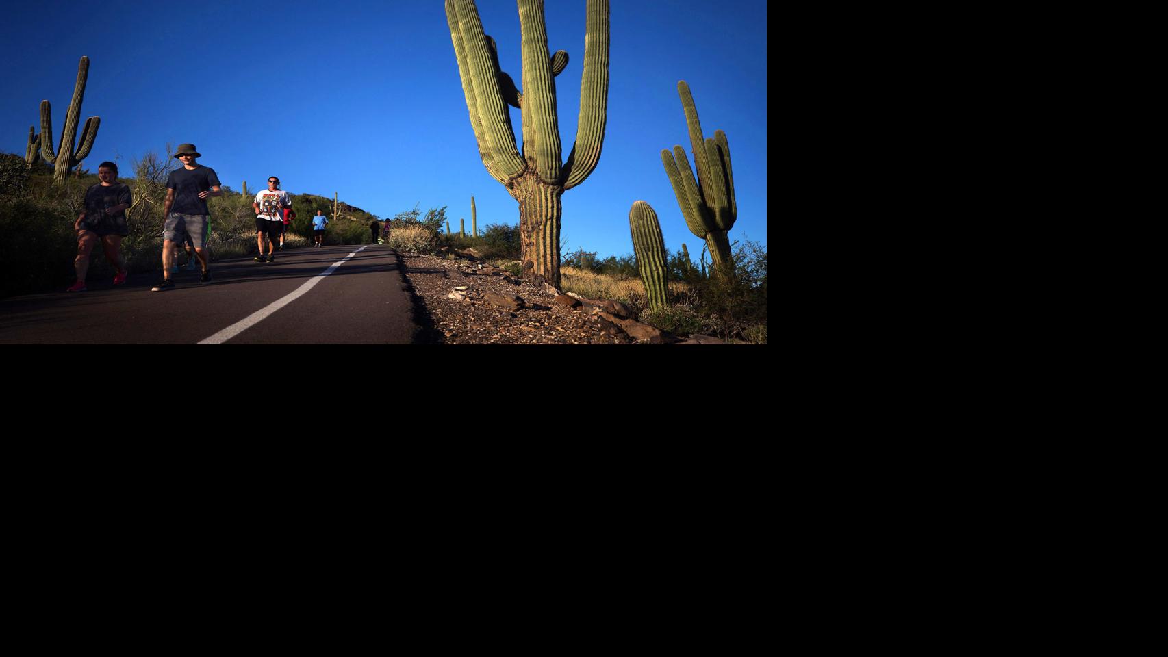 Mark your calendars, hikers: Tucson's cherished Tumamoc Hill to reopen ...