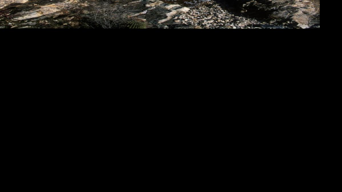 To 4-wheelers, Redington Pass brings a grin