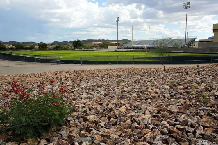 Photos: Cholla's Ed Brown Stadium | Sports | tucson.com
