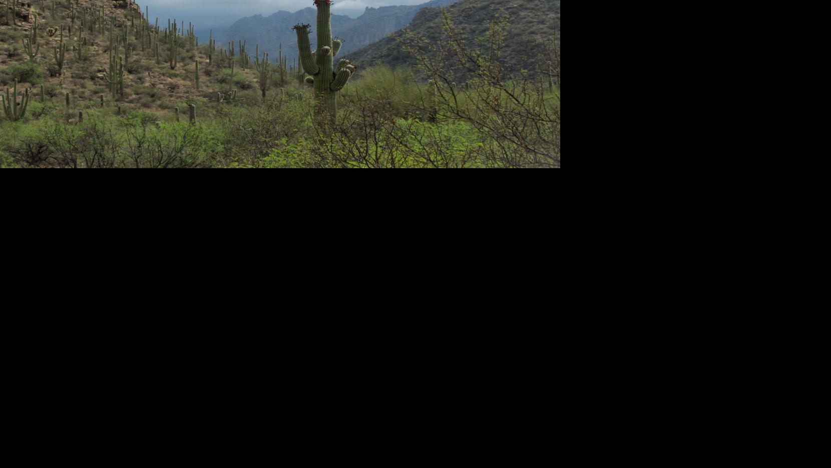 Tucson weather: increase in storm activity today, tomorrow