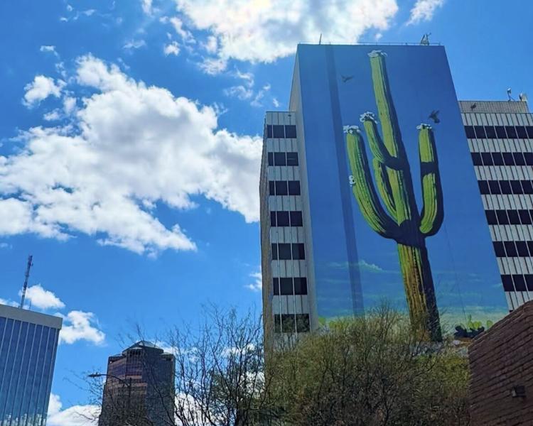 100+ murals in Tucson, plus a map