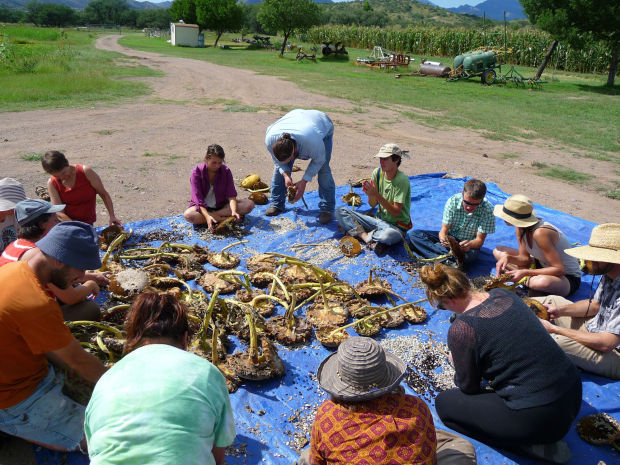 New director plants a seed for the environment | Science | tucson.com