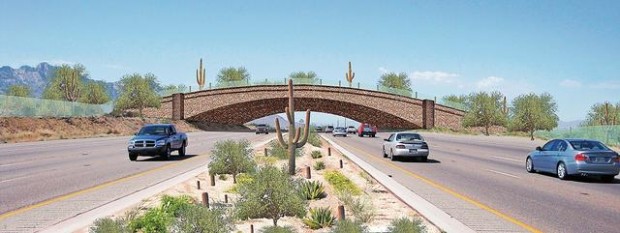 Creating crossings for wildlife