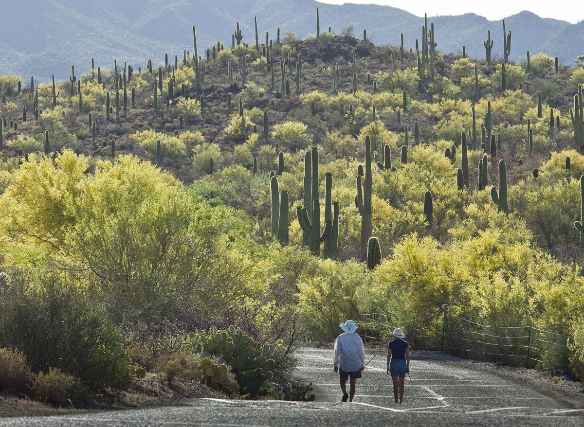 National park in Tucson grows as Trump mulls fed land cuts