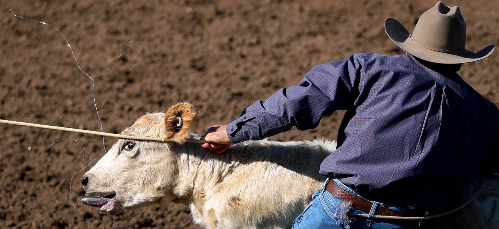 Photos: 100th La Fiesta de los Vaqueros Tucson Rodeo