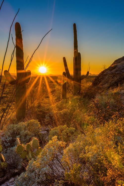 Reader Photo Picture a photo you took here: