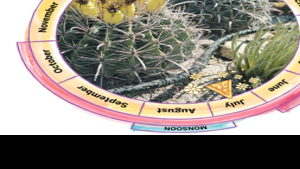 Gardening By John P. Begeman: Aid heat-stressed plants