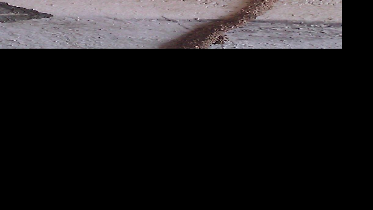 Termites using your masonry as expressway