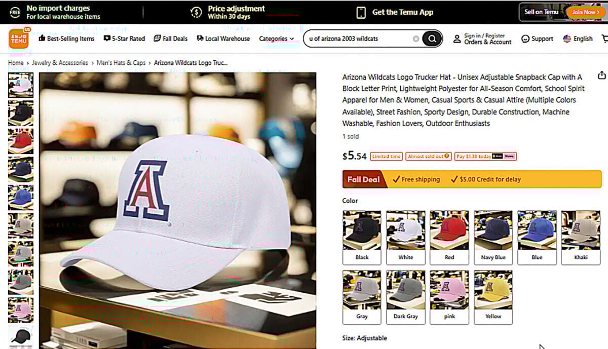 Arizona files consumer fraud lawsuit against Temu