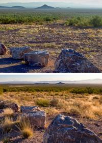 Buffelgrass battleground northwest of Tucson wins national recognition