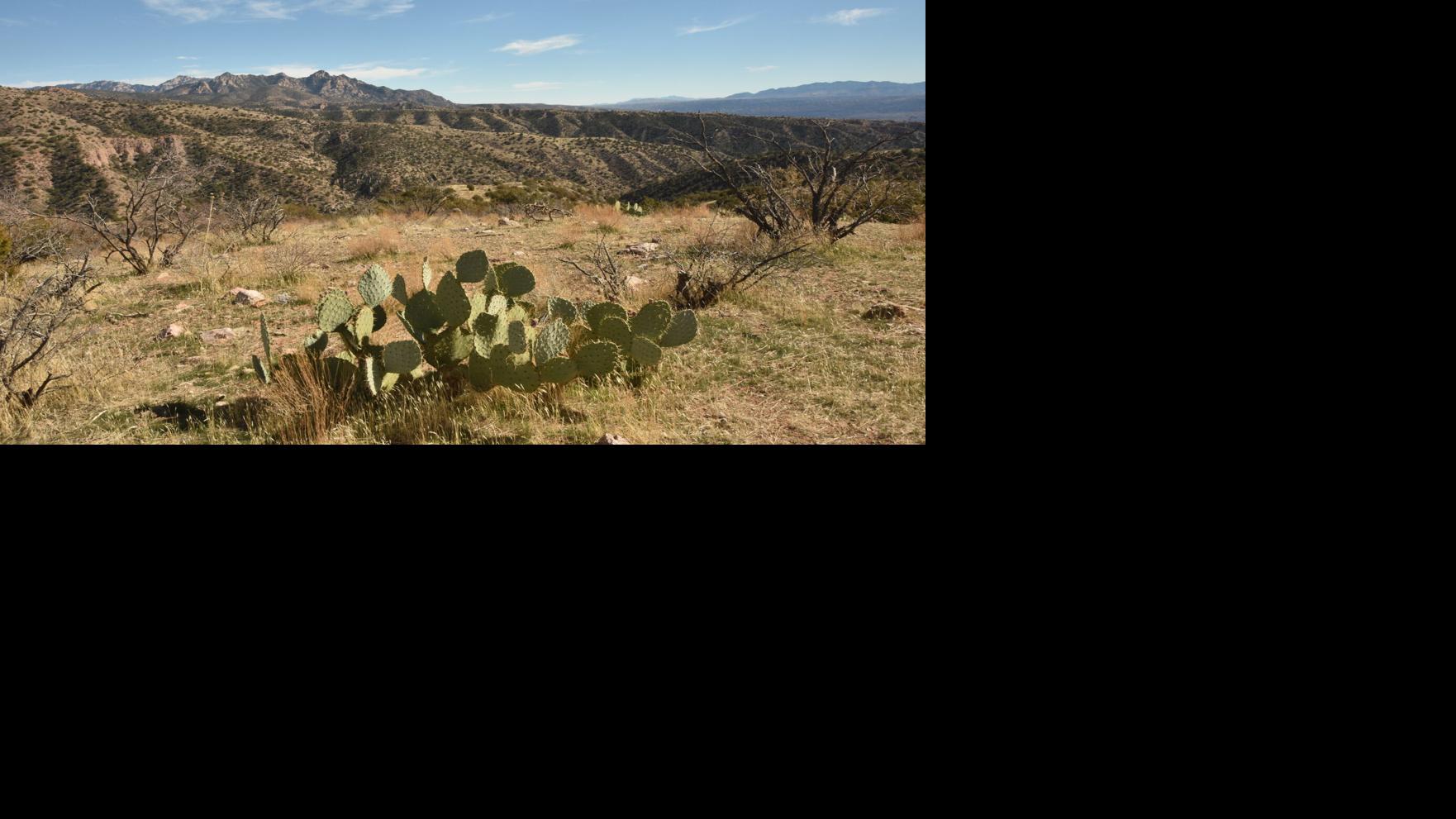 Old Southern Arizona ranches to find new life as conservation areas