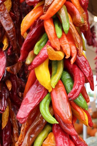 ristras coloring pages