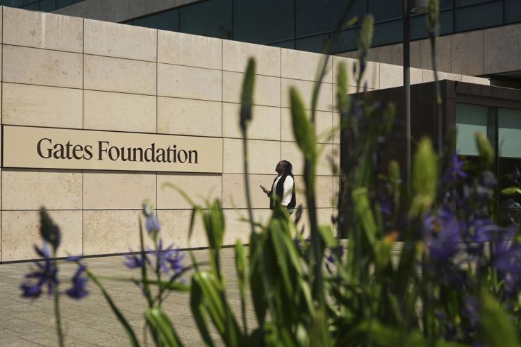 bill gates foundation