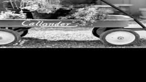 Real Simple Solutions