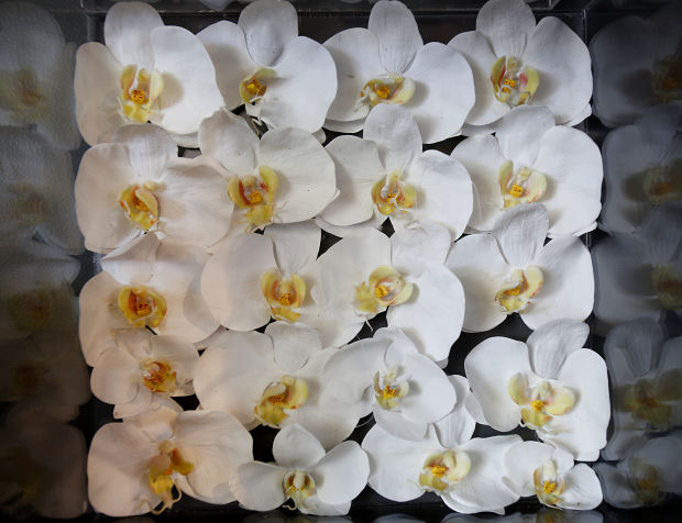 Floral stylist blooms downtown