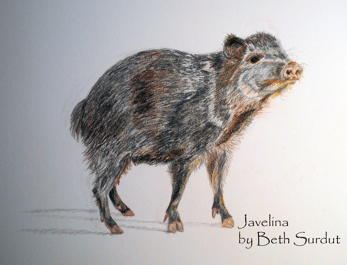 Art at Bontical Gardens; theater at the Temple