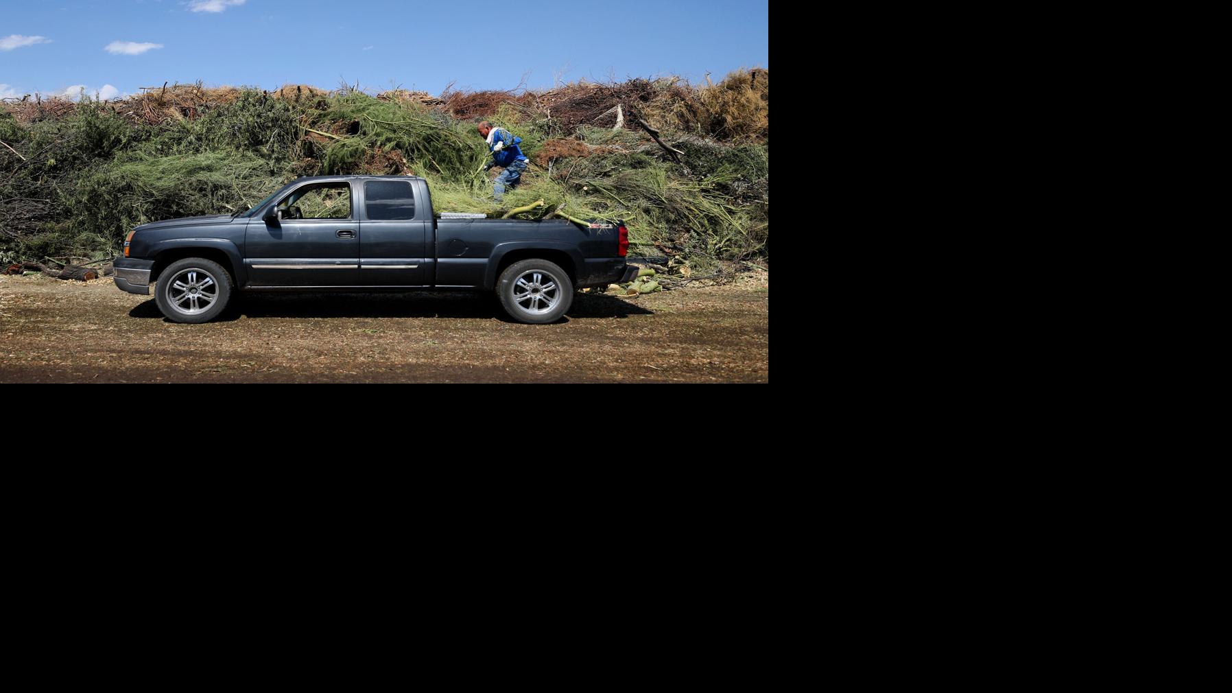 Photos: Landscapers and residents unload monsoon damage debris at Tank ...