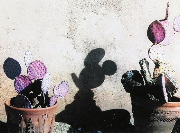 Mickey in the desert?