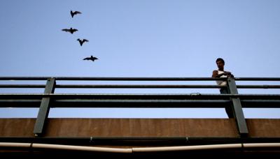 Summer is bat-watching season in Tucson: Here's what to know
