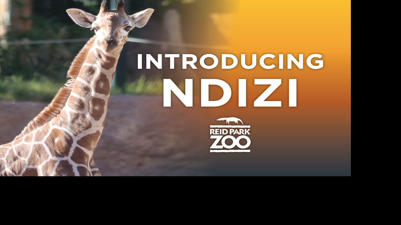 Tucson’s newest (and tallest) baby has a name