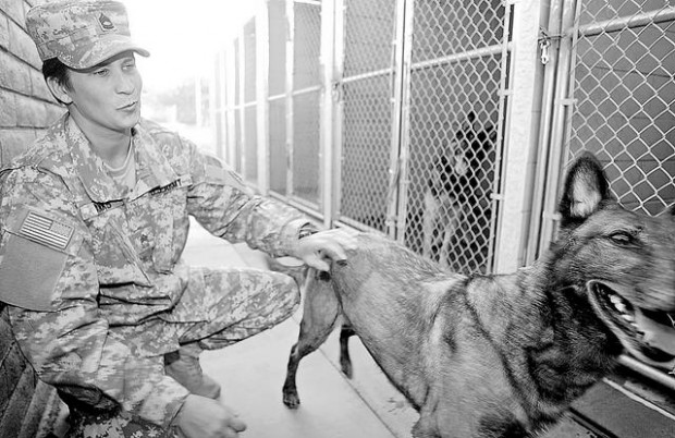 Huachuca sergeant 1 of Army's 2 female kennel masters