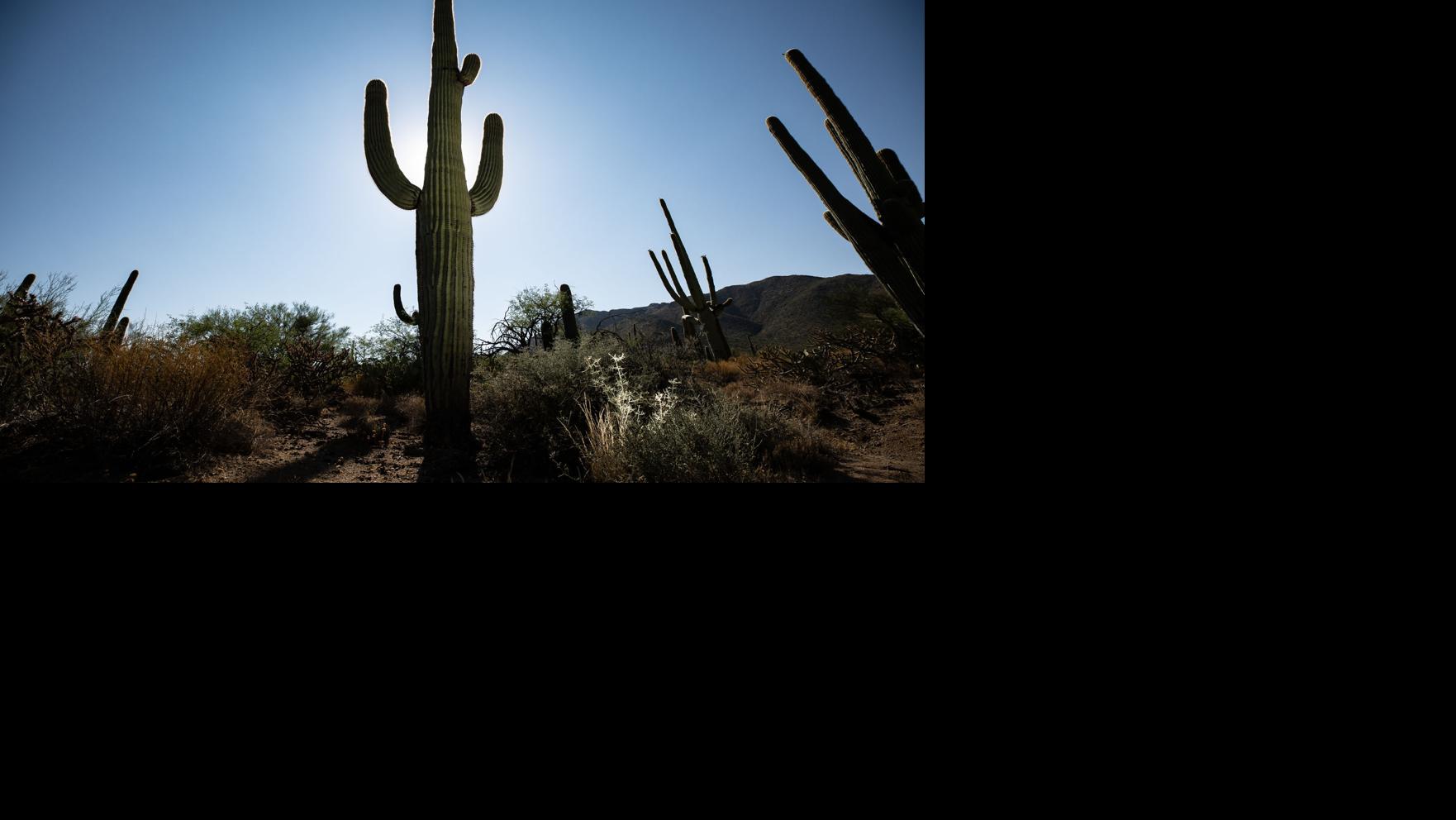 Today's Tucson weather forecast: Aug. 28