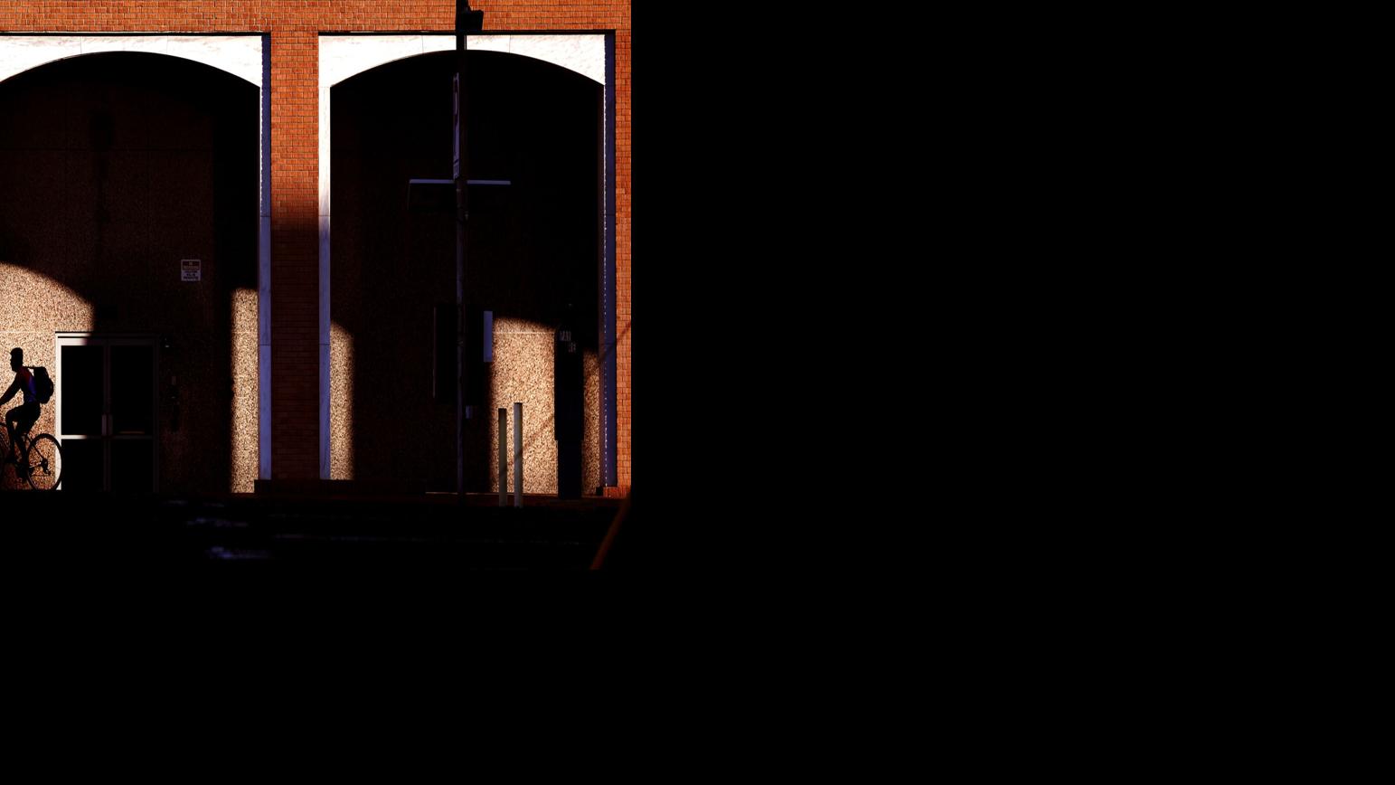 Arizona's native born outnumbered