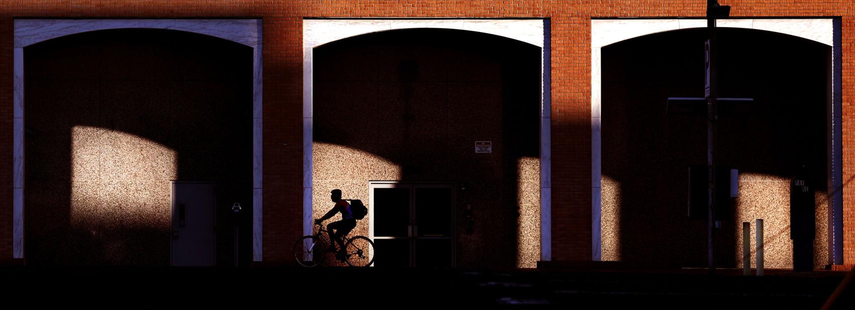 Arizona's native born outnumbered