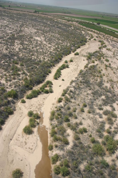 Photos: Colorado River delta water release | Arizona and Regional News ...